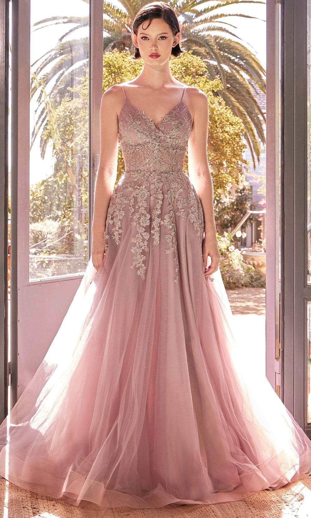 Applique Prom Dresses 2026 | Applique Wedding, Tulle Dresses & Gowns ...