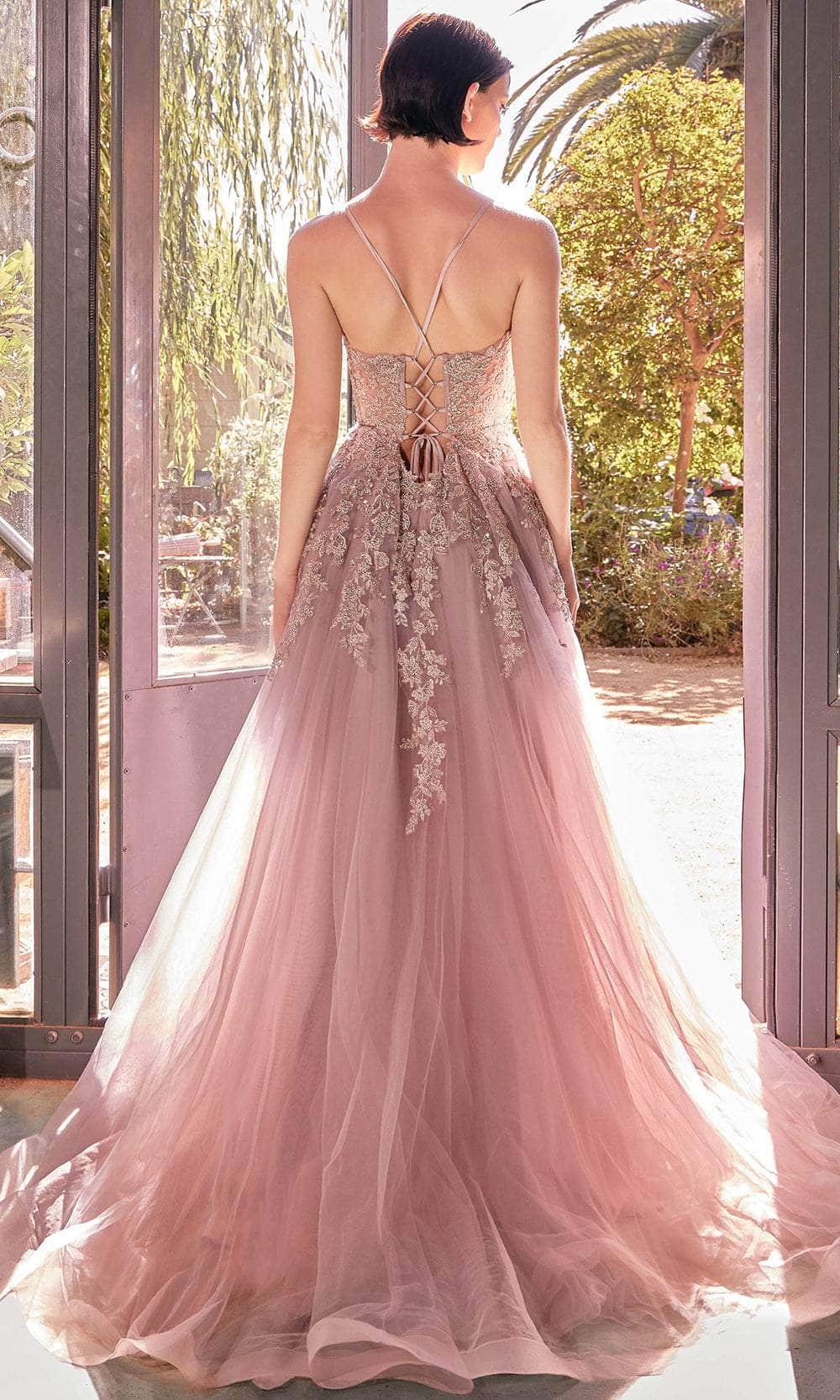 Applique Prom Dresses 2026 | Applique Wedding, Tulle Dresses & Gowns ...