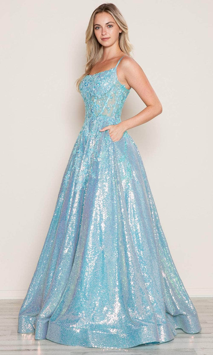 Poly USA 9554 - Long A-line Dress - Sleeveless, Sheer Corset Bodice ...