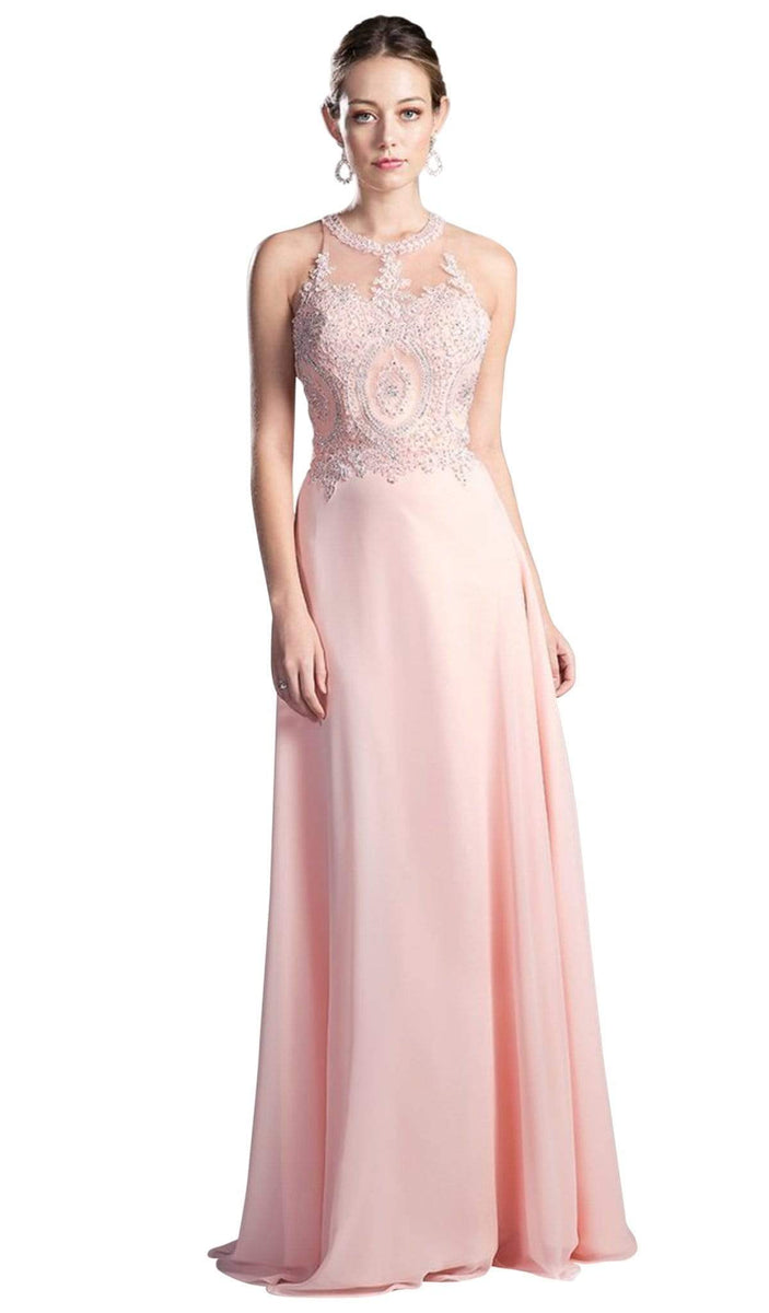 Cinderella Divine - Illusion Jewel Tonal Appliqued Long Evening Gown ...